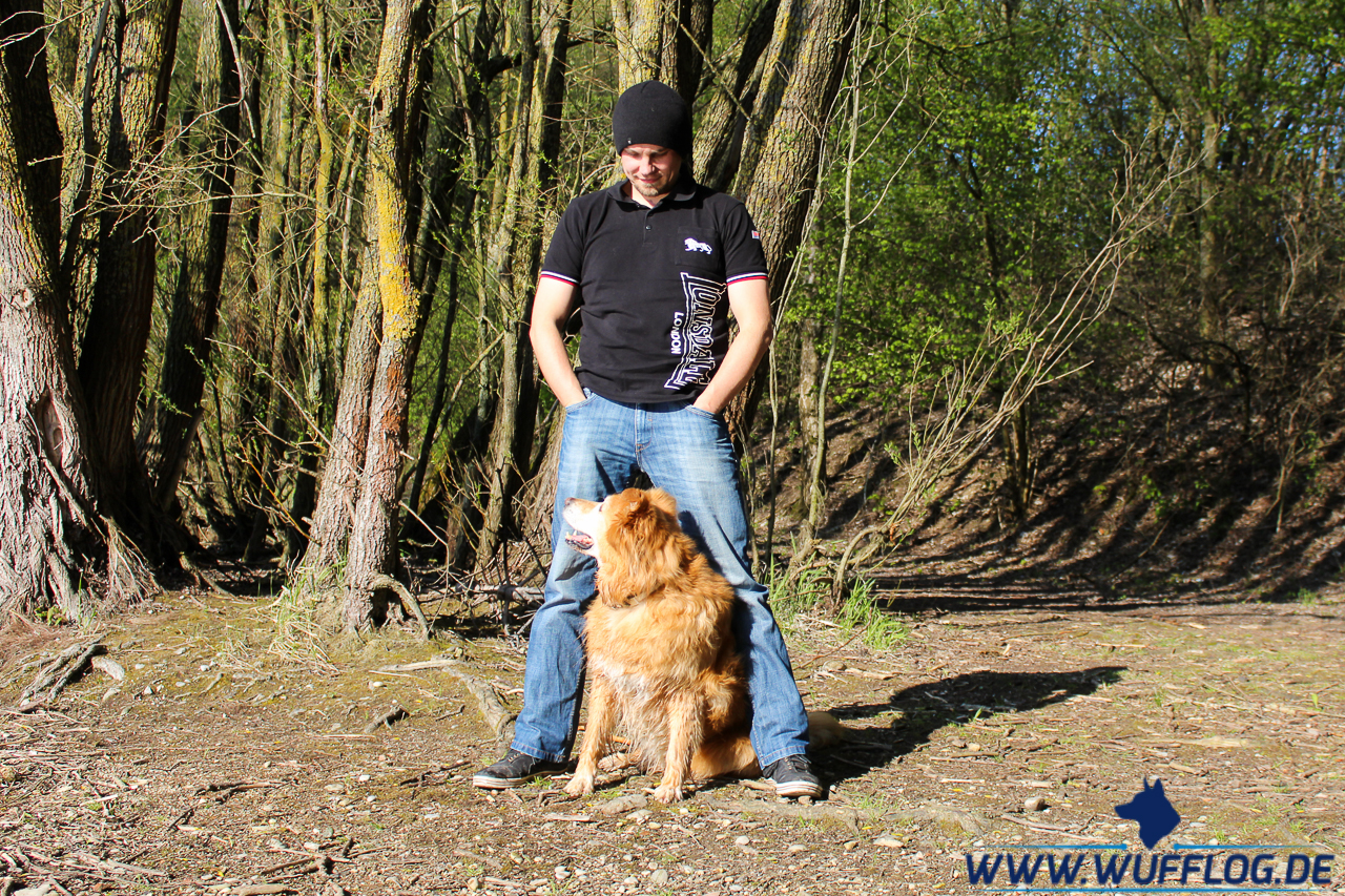 Welche Techniken gibt es im Hundetraining? - Wufflog